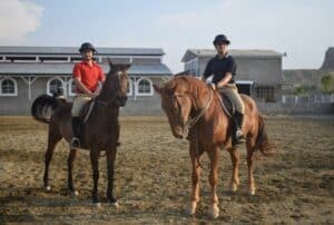 Thoroughbred Horse Guide: A Detailed Guide - The Horse and Stable