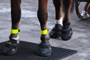How to Find the Best Bell Boots for Your Overreaching Horse
