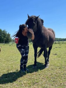 Best Hoof Picks Guide: My Top 6 Recommendations for the Cleanest Hooves