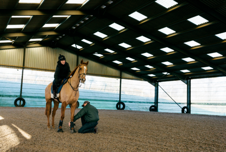 How to Find the Best Bell Boots for Your Overreaching Horse