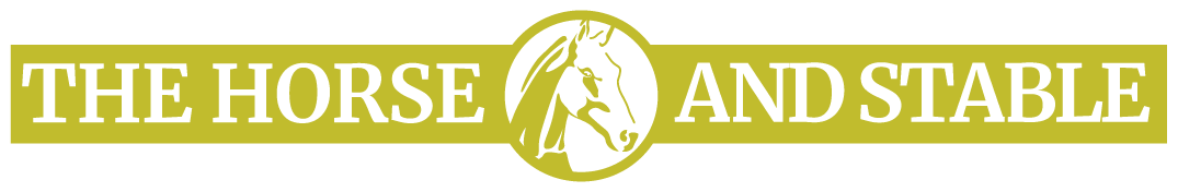 Best Wade Saddles Brand Guide: Step Into the Smoothest Ride