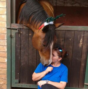 How to Find the Best Horse Liniment and How to Use It