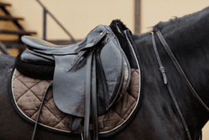 Types of Stirrup Leathers Explained: What to Choose and Why