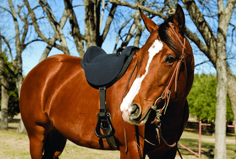 Best Synthetic Western Saddles Guide - The Horse and Stable