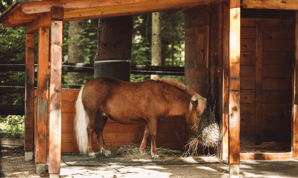 Best Hay Storage Solutions for Horses - The Horse and Stable