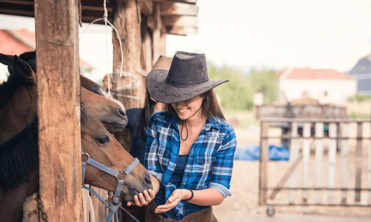 Best Horse Joint Supplements Guide - The Horse and Stable