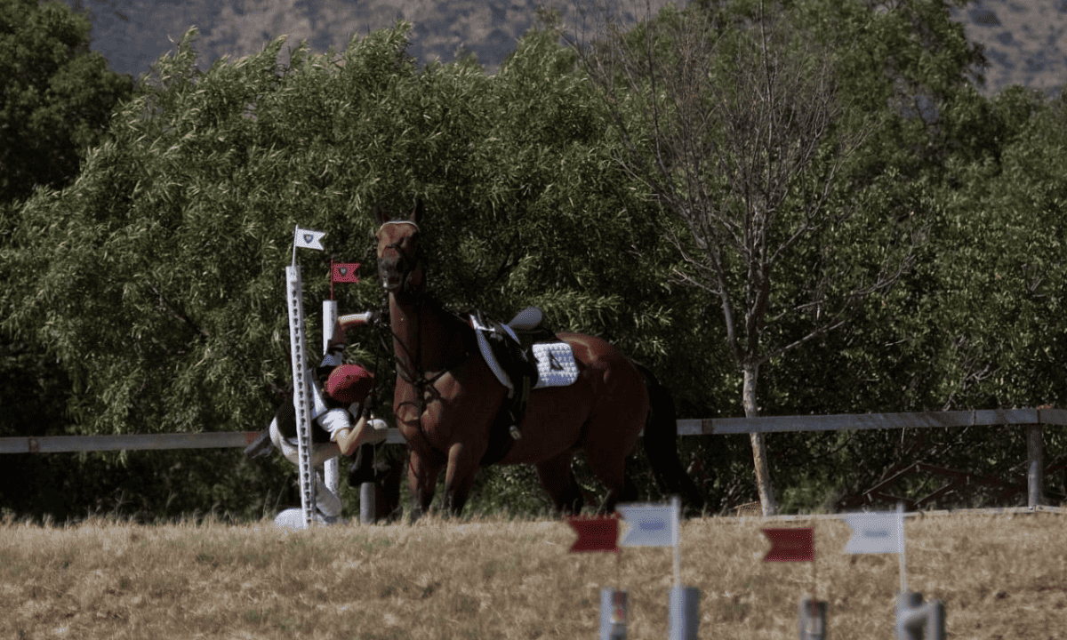 Horse Riding Vests Guide with Recommendations - The Horse and Stable