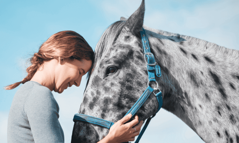 How to Get a Horse to Trust You - The Horse and Stable